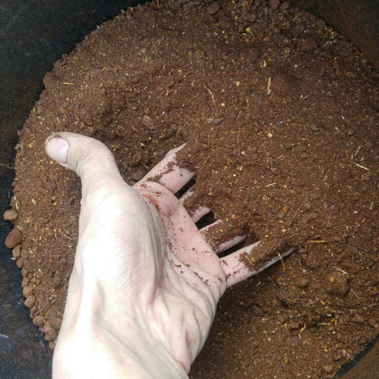 5 Ways To Use Neem Seed Meal